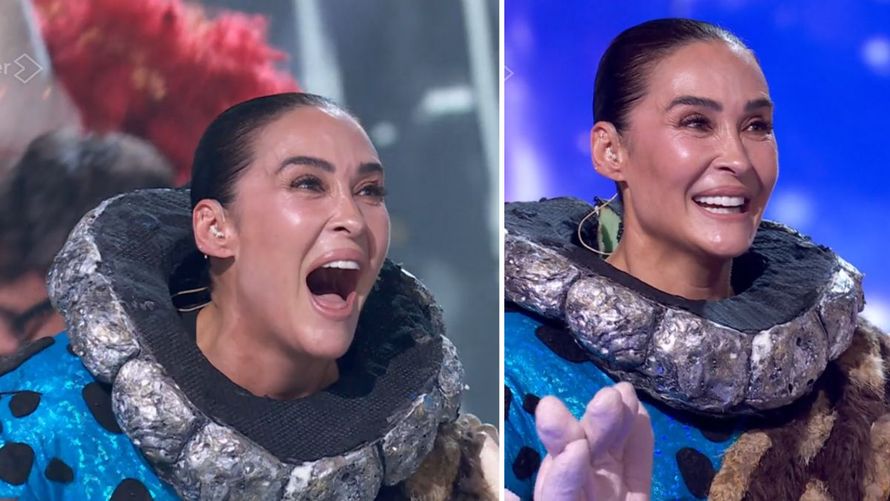Clavel, la ganadora de 'Mask Singer' 2026, era una famosa cantante y el ...
