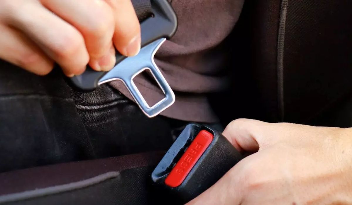 La DGT explica por qué hay que abrochar los cinturones traseros aunque ...